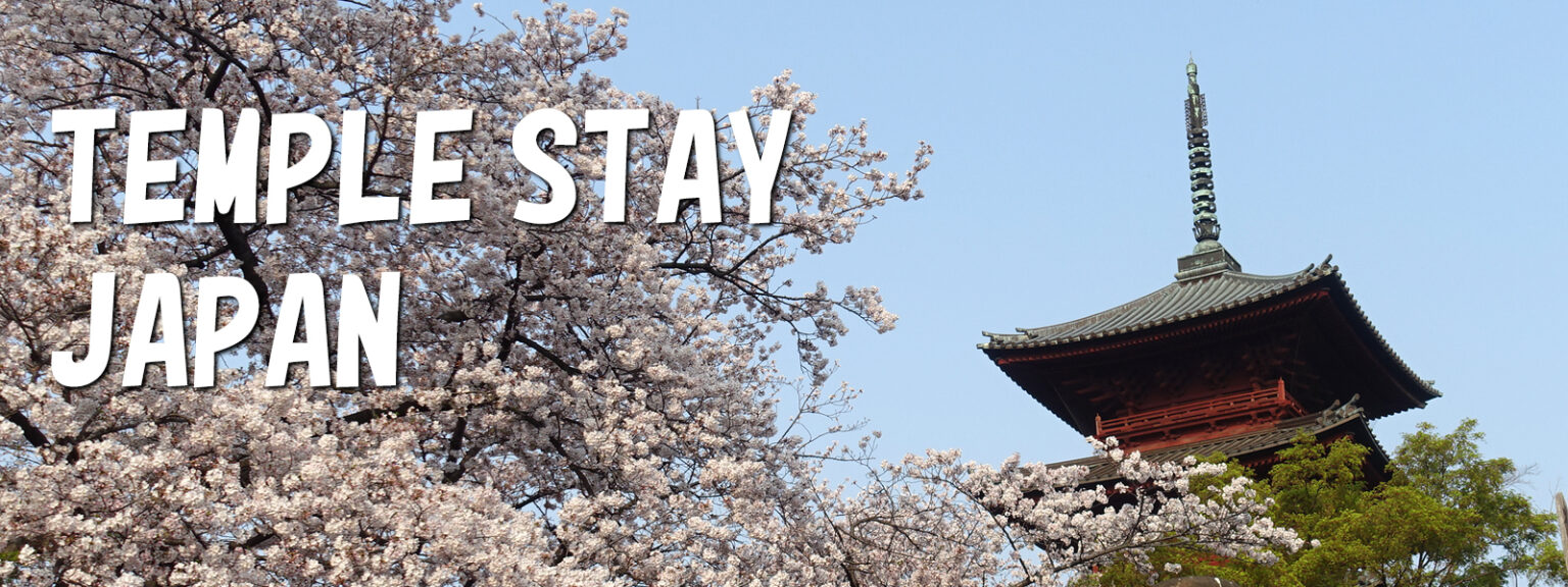 Templestay Japan | Guide to Shukubo Experiences, Zen Meditation ...