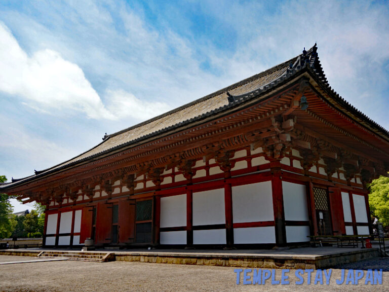 Toji temple (Kyoto) Beautiful pagoda and Buddha statues | Templestay Japan